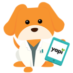 YAPI – Dental Software That Elevates Your Practice