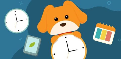 How to Keep Your Schedule Full with YAPI - Yapi