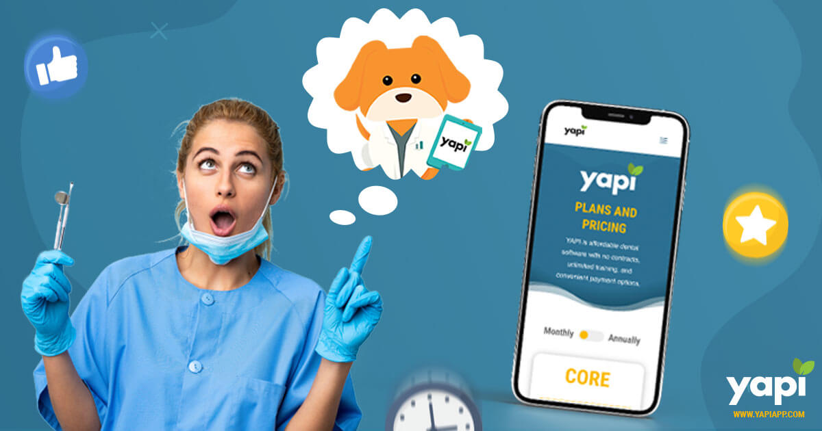 What is YAPI? A Video Explainer in Less Than 5 Minutes – Yapi